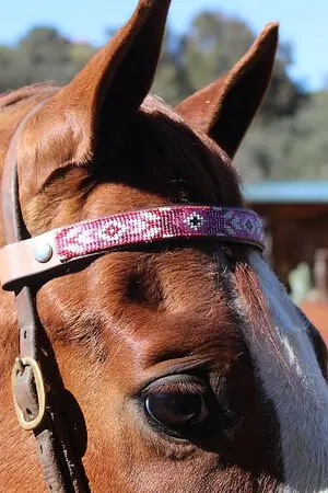 SAMBBOHO Beaded Horse Browband
