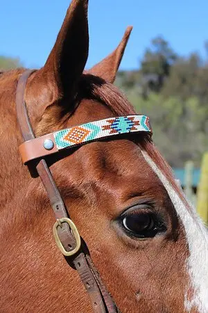 SAMBBOHO Horse Browband