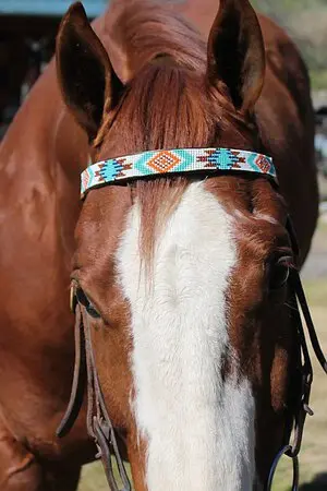 SAMBBOHO Horse Browband