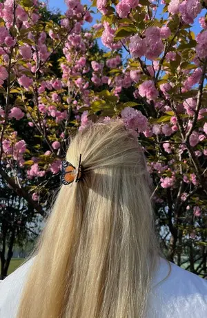 SOLAR ECLIPSE Mini Monarch Hair Claw Clip - Orange