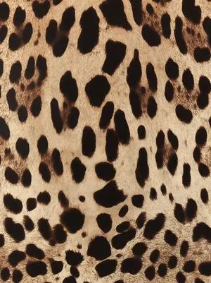 Dolce & Gabbana Leopard' Scarf