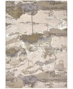 FEIZY Aura Aur3737f Area Rug, 8' X 10 - Gray/ivory