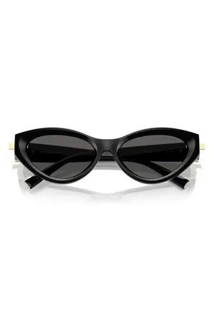 Tiffany & Co. 54mm Oval Sunglasses - Black