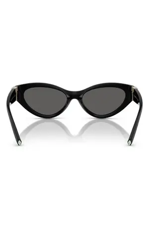 Tiffany & Co. 54mm Oval Sunglasses - Black