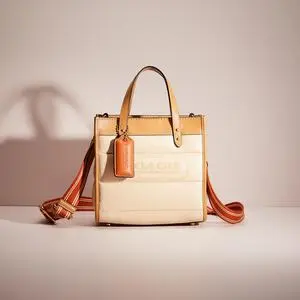 Coach Colorblock