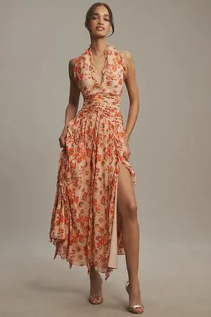 Bhldn Juliette Sleeveless V-neck Chiffon Maxi Dress - Neutral Floral