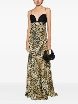 Roberto Cavalli Leopard-print Long Dress