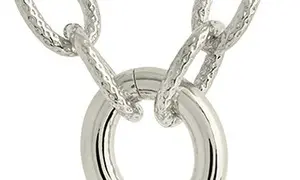 Sterling Forever Carter Round Link Statement Necklace - Silver