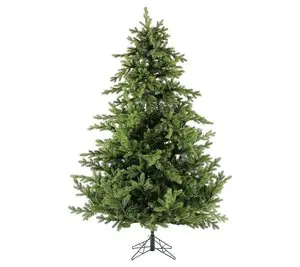 FRASER HILL FARM 10 Ft. Foxtail Pine Christmas Ree - One-color