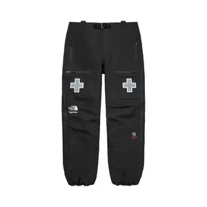 Supreme X The North Face Summit Series Rescue Mountain Pant