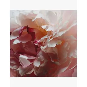 Jo Malone Peony And Blush Suede Cologne 9ml