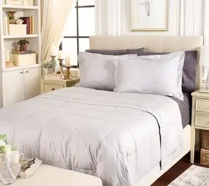 NORTHERN NIGHTS As Is Shadow Dot Cotton 650fp Downblanket-kg - One-color