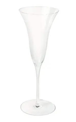 GOHAR WORLD Calla Crystal Champagne Glass - Clear