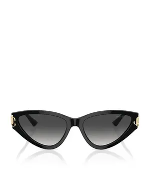 JIMMY CHOO Jimmy Choo Acetate Sunglasses Black