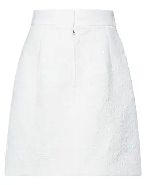 Dolce & Gabbana Mini Skirt