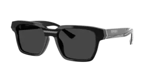 FERRARI Sunglasses - Grey Polar