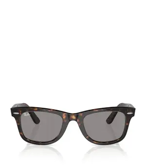 Ray-ban Acetate Wayfarer Sunglasses - Brown