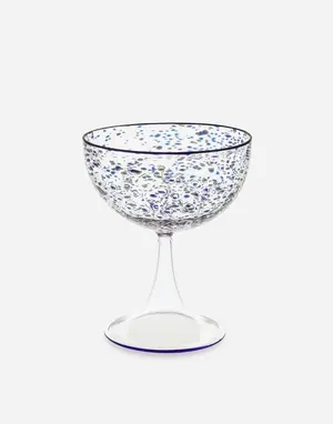 Dolce & Gabbana Champagne Glass - Multicolor