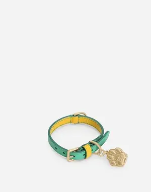 Dolce & Gabbana Collar - Green