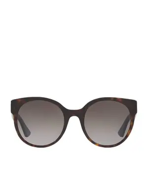 Gucci Acetate Sunglasses