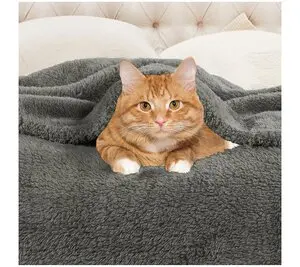 SUPERIOR Solid Fleece Medium Weight Fluffy Soft Blanket Twin