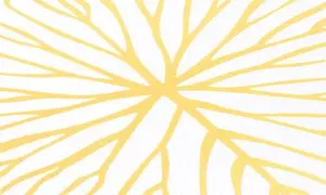 ANNA NEW YORK Talianna Lily Pad Ceramic Serving Platter