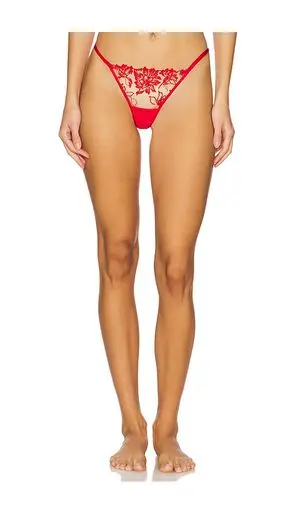 Bluebella Samara Thong In Red - Red & Sheer