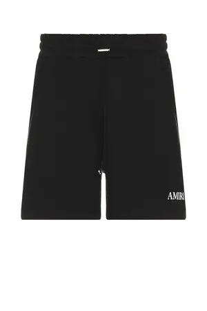 Amiri Core Logo Short
