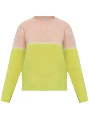 Women's Loewe Mohair Sweaters