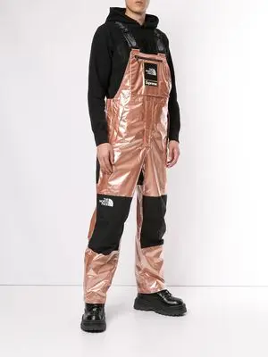 Supreme Tnf Metallic Bib Pant