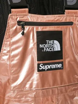Supreme Tnf Metallic Bib Pant