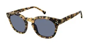 COLORS IN OPTICS Sullivan Sunglasses - Oatmeal Tortoise