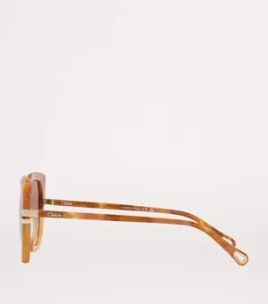 Chloé Acetate Ch0240s Sunglasses - Brown