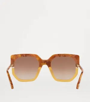 Chloé Acetate Ch0240s Sunglasses - Brown