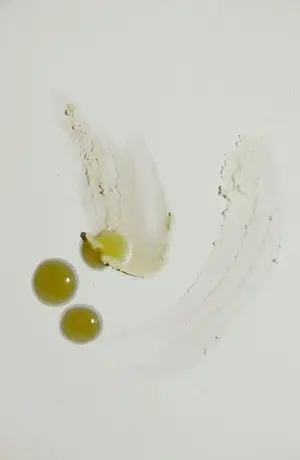 SUMMER SOLACE TALLOW Emanations Deeply Nourishing Profound Face Oil - None