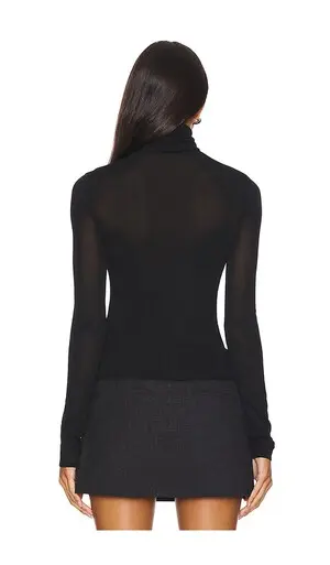 EAVES Alexander Sheer Turtleneck Sweater