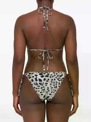 Dolce & Gabbana Leopard-print Bikini - Grey