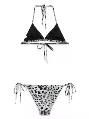 Dolce & Gabbana Leopard-print Bikini - Grey
