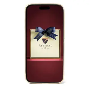 ASPINAL OF LONDON Iphone 15 Pro Max Case In Pebble