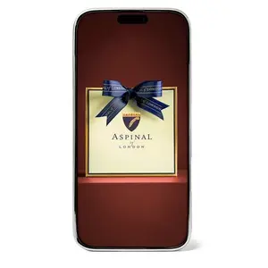 ASPINAL OF LONDON Iphone 16 Pro Max Case In Smooth Grey