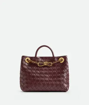 Bottega Veneta Small Andiamo Chain