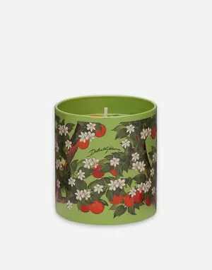 Dolce & Gabbana Scented Candle - Multicolor