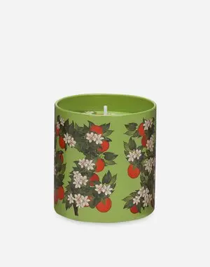Dolce & Gabbana Scented Candle
