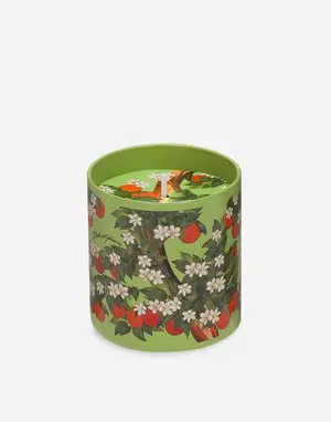 Dolce & Gabbana Scented Candle