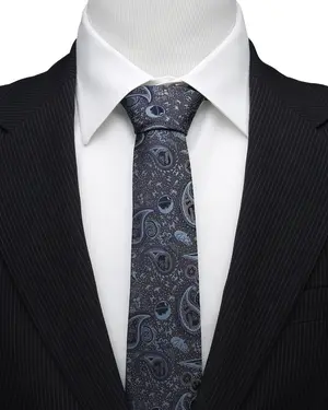 CUFFLINKS, INC. Star Wars Darth Vader Paisley Tie - Multi