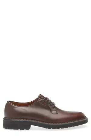 Alden Plain Toe Blucher Derby