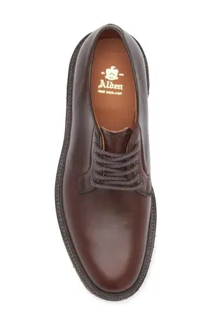 Alden Plain Toe Blucher Derby