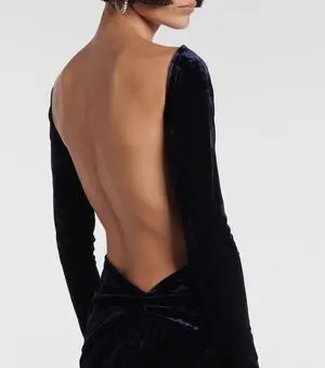 Alex Perry Velvet Gown