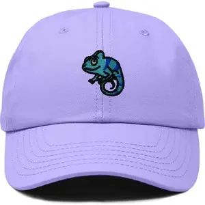 DALIX Dalix Chameleon Embroidered Cap Lavender