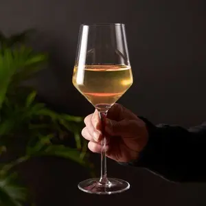 VISKI Raye Crystal Angled Chardonnay Glasses Set Of 2
